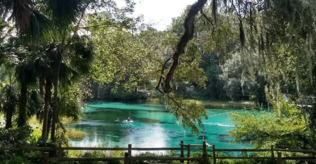 10 Best Natural Springs in Florida for Swimming, Snorkeling & Kayaking