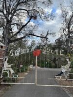 Step Inside the Hand-Built Florida Castle That Feels Like an Artist’s ...