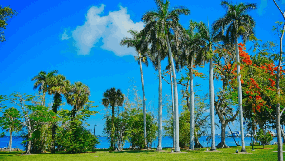 The Best Budget-Friendly Florida Destinations for a Warm Winter Escape