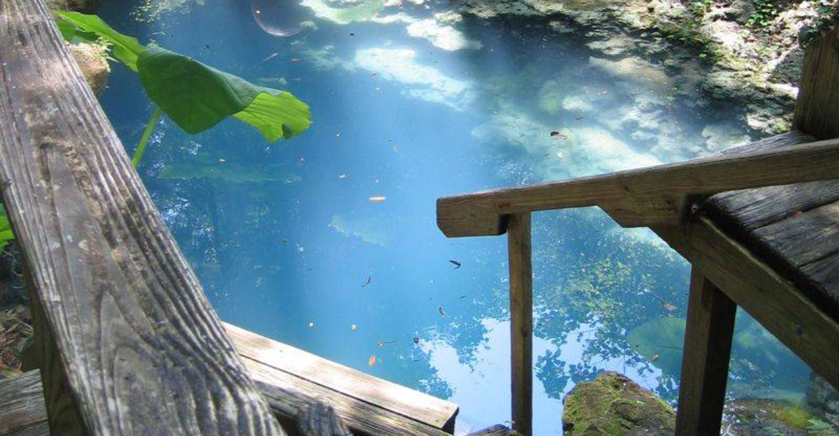 This Secret Spring Near Ocala Looks Like A Real-Life Blue Grotto