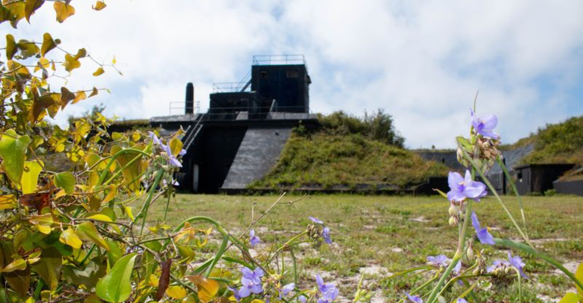 11 Scenic Florida Trails That Might Just Become Your New Favorite Walk